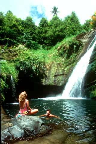 Karibik - Urlaub, Grenada, Grenadinen, Tobago, Trinidad, Dominica, Guadeloupe, Martinique ...