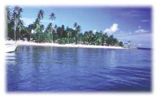 Karibik - Urlaub, Grenada, Grenadinen, Tobago, Trinidad, Dominica, Guadeloupe, Martinique ...