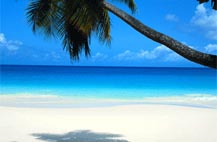 Karibik - Urlaub, Grenada, Grenadinen, Tobago, Trinidad, Dominica, Guadeloupe, Martinique ...