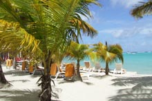 Karibik - Urlaub, Grenada, Grenadinen, Tobago, Trinidad, Dominica, Guadeloupe, Martinique ...